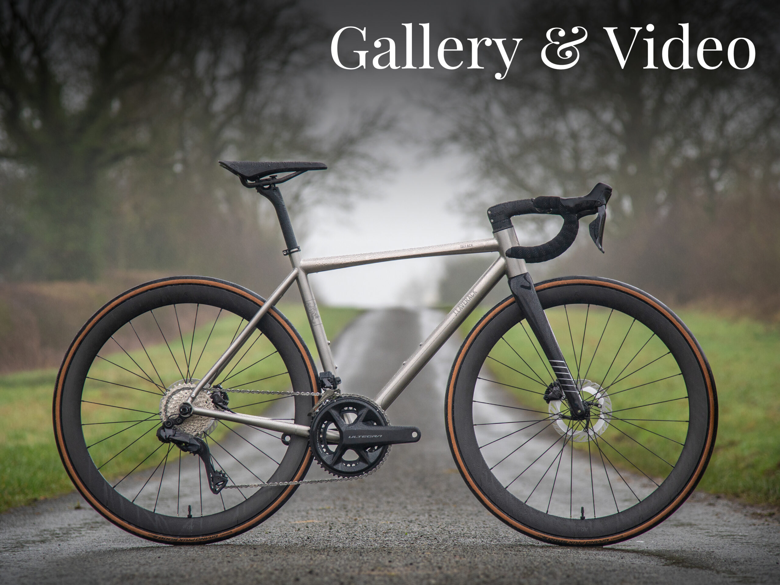 R J.ACK II 2x12s Ultegra Di2 ENVE In-Route Custom Painted - January ...